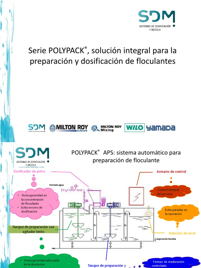 Presentacion SDM-POLYPACK Cliente | PDF | Informática | Ciencias de la ...