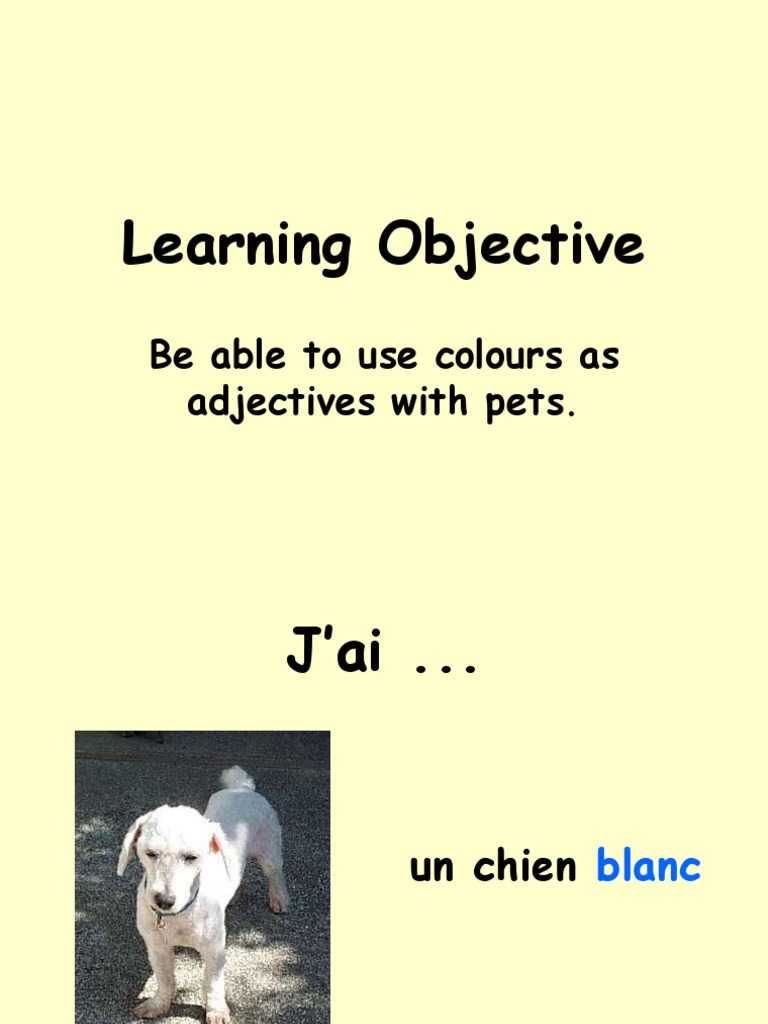 Couleurs et animaux : adjectifs en français | PDF