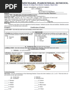 Classification of Seafood | PDF | Fish | Mollusca