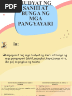 Sanhi at Bunga Powerpoint Lesson Proper | PDF