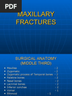 Module Skeletal System | PDF | Skeleton | Bone