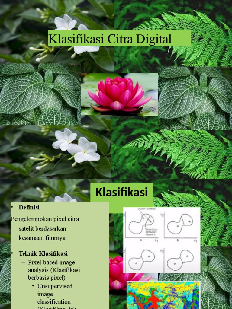Klasifikasi Citra | PDF