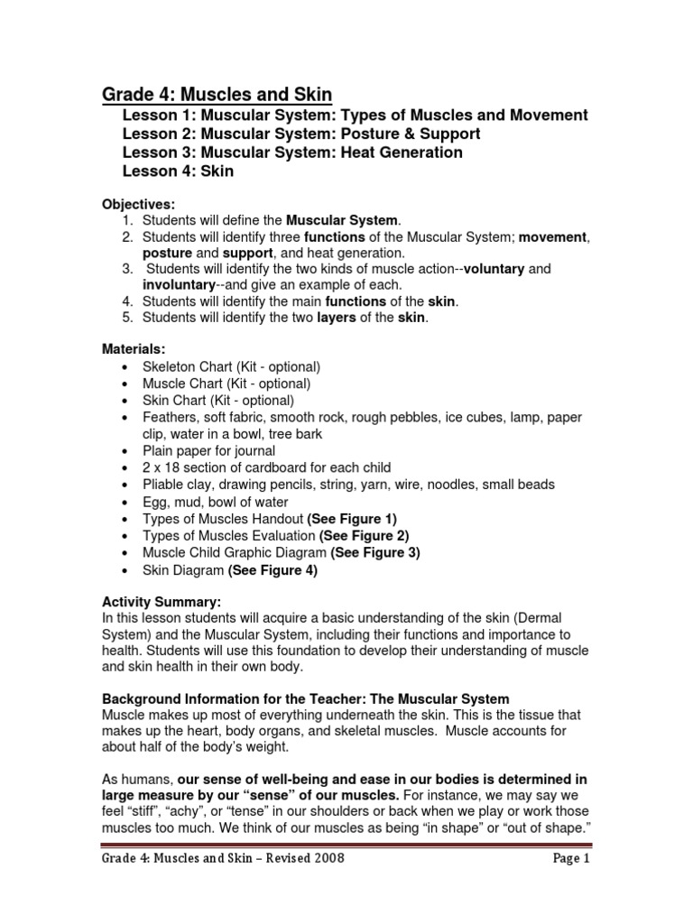 Grade 4 Muscular System & Skin Overview | PDF | Human Body | Skin
