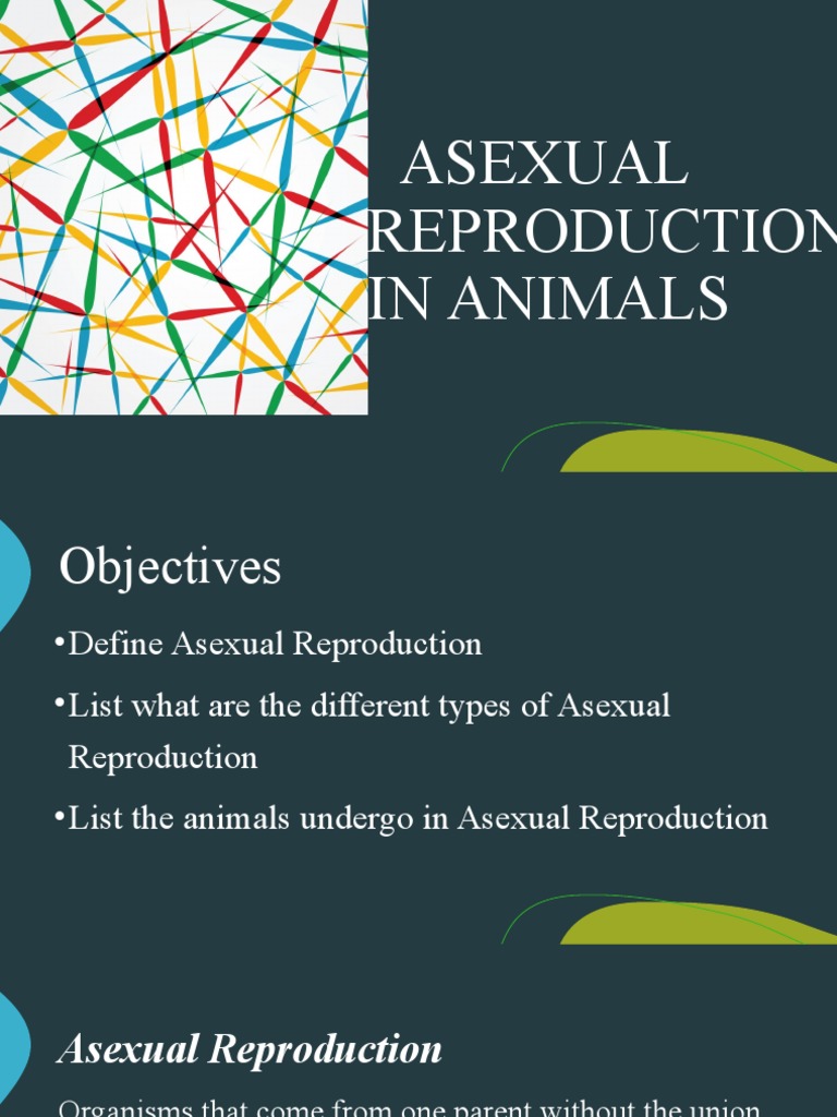 Asexual Reproduction in Animals Defined | PDF