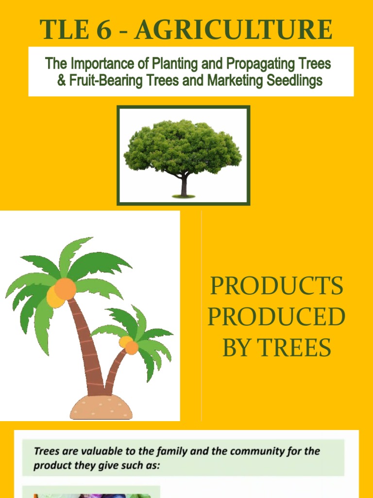 Tle 6 - Agriculture | PDF