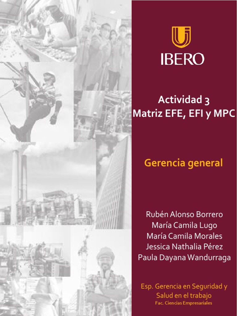 Actividad 3 - Matriz EFE, EFI y MPC | PDF | Producto (Negocio) | Economias