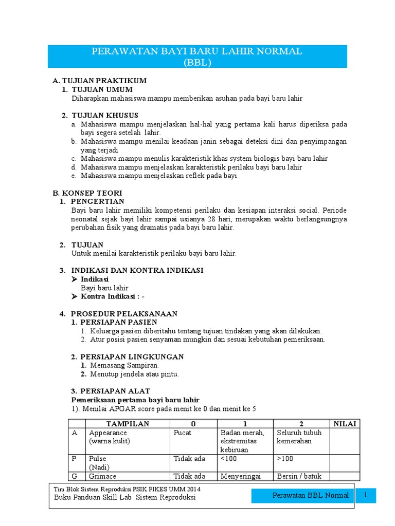 Perawatan BBL Normal | PDF