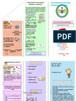Triptico Edas | PDF | Diarrea | Heces