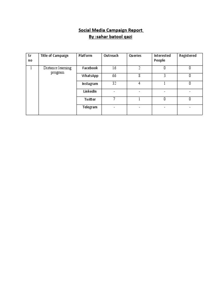 Social Media Campaign Report Sample | PDF