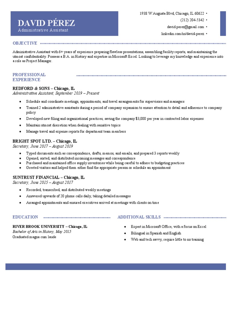 Professional Resume Template Ice Blue | PDF