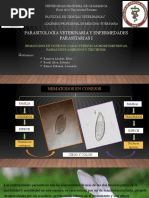 Técnica McMaster en Parasitología Veterinaria | PDF | Heces ...