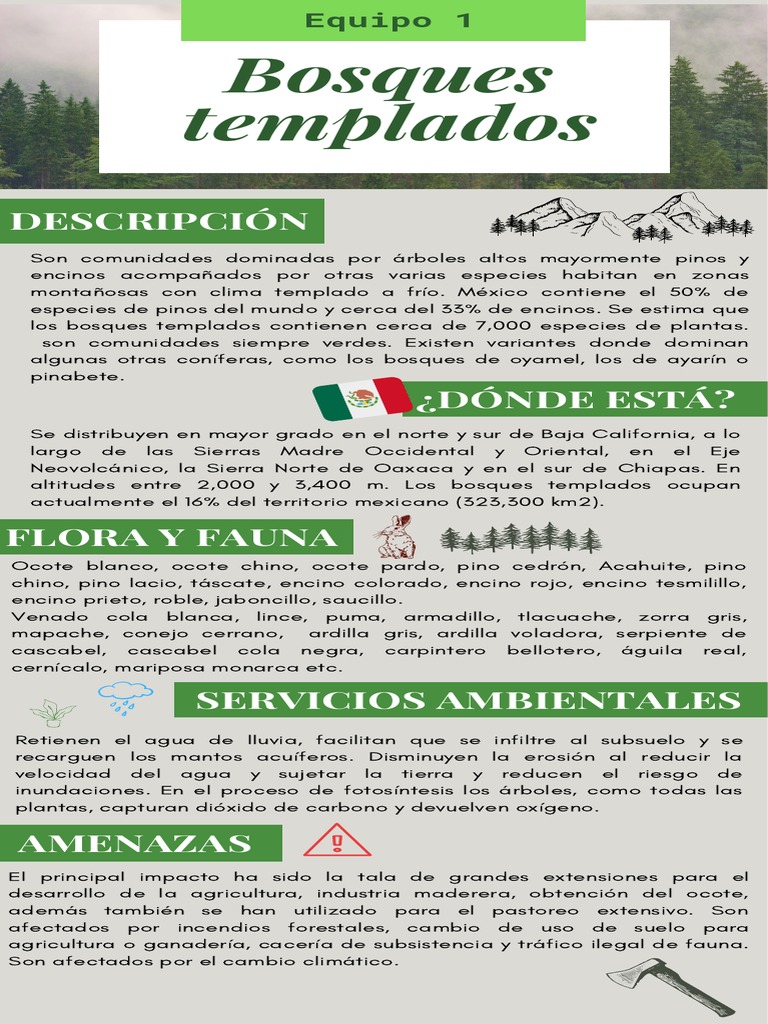 Características y amenazas del bosque templado | PDF | Los bosques ...