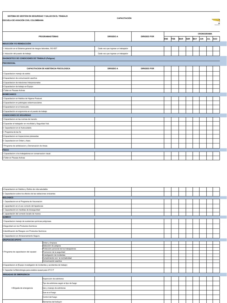 Matriz Ice | PDF | Primeros auxilios | La seguridad