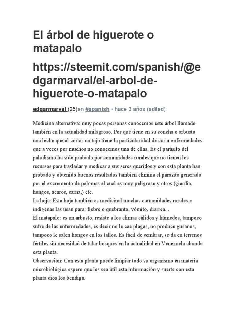 El Árbol de Higuerote o Matapalo | PDF