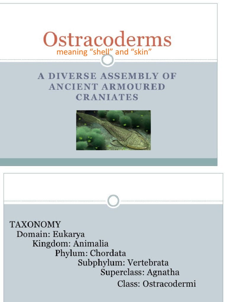 Ostracoderm-Maybel Balansag | PDF | Zoology | Fish