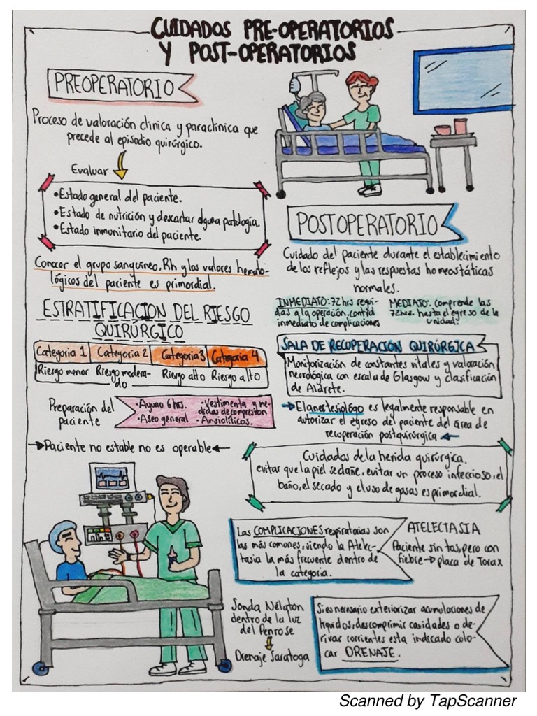 Infografía, Cuidados Pre y Post Operatorios | PDF