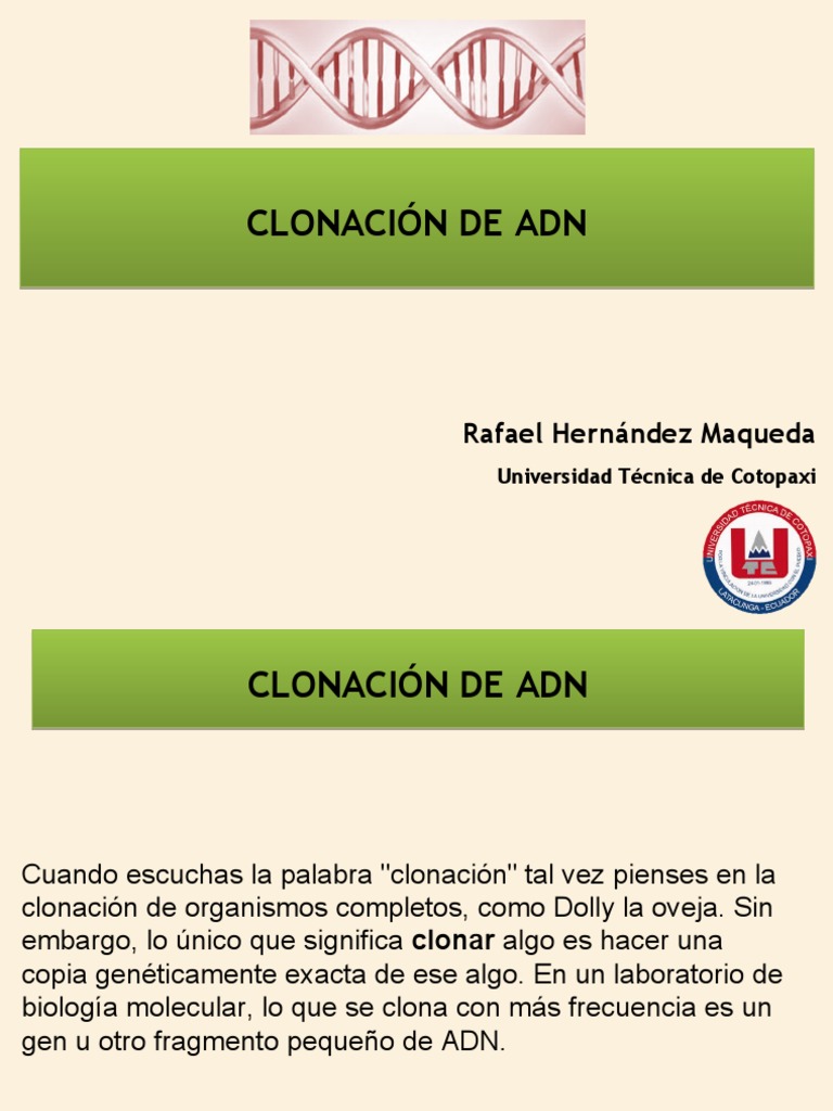 Clonación de ADN: Proceso y Usos | PDF | Plásmido | Adn