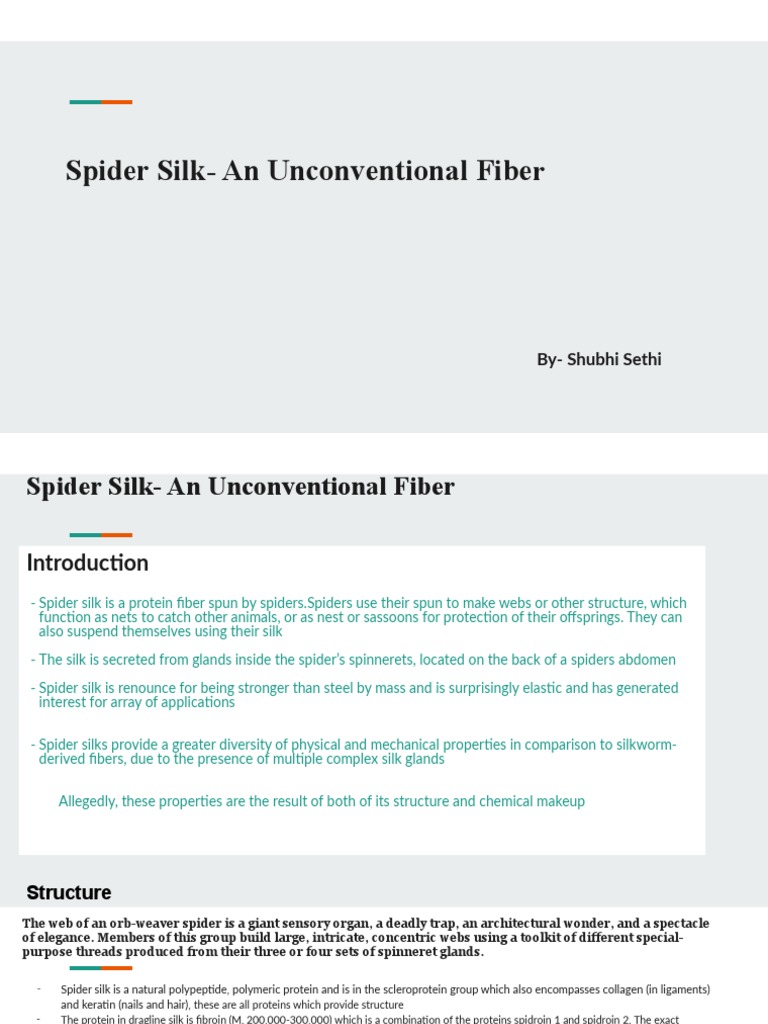Spider Silk: Properties and Applications | PDF | Spider | Silk