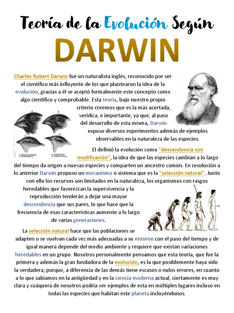 Teoría de La Evolución Según DARWIN | PDF