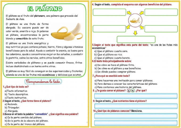 Lectura El Platano | PDF