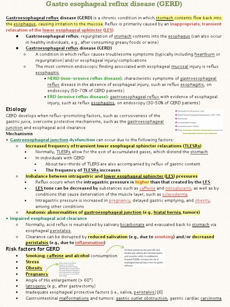 Gastro Esophageal Reflux Disease (GERD) | PDF | Gastroesophageal Reflux ...