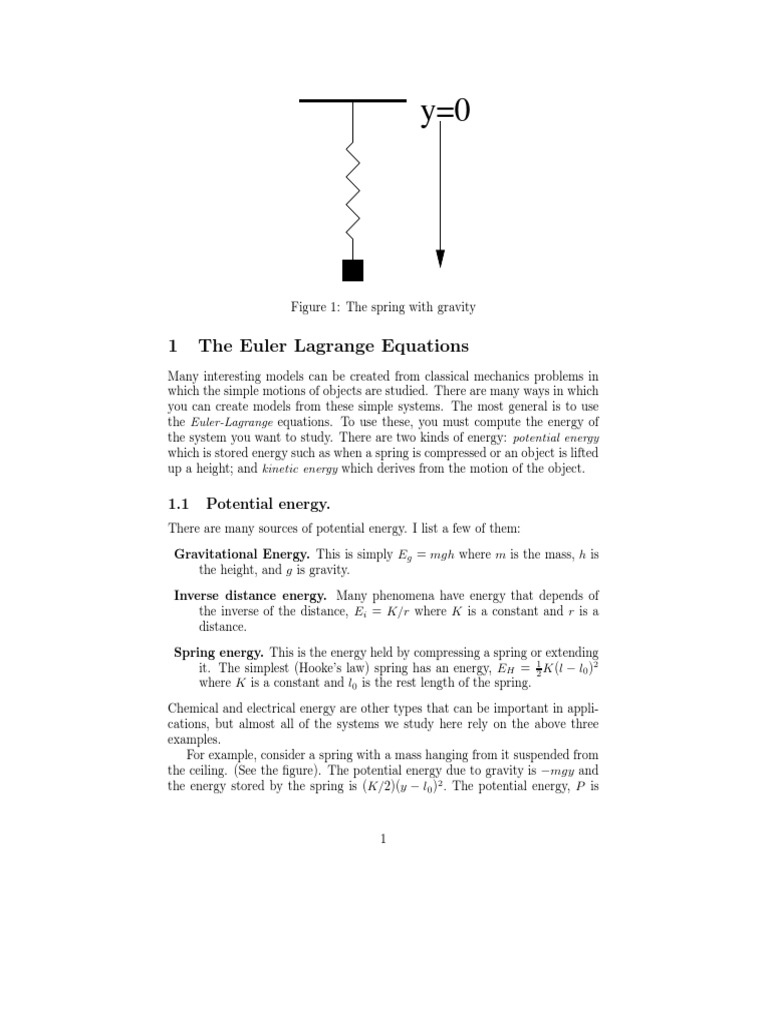 The Euler Lagrange Equations | PDF | Potential Energy | Stability Theory
