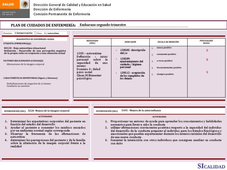 PLACE Embarazo 2do Trimestre | PDF | Sicología | Conceptos psicologicos