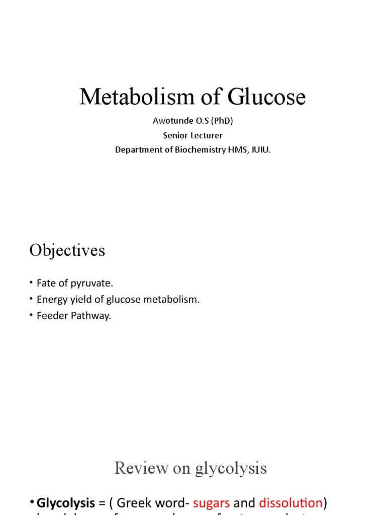 Feeder Pathways For Glycolysis | PDF | Adenosine Triphosphate | Pyruvic ...