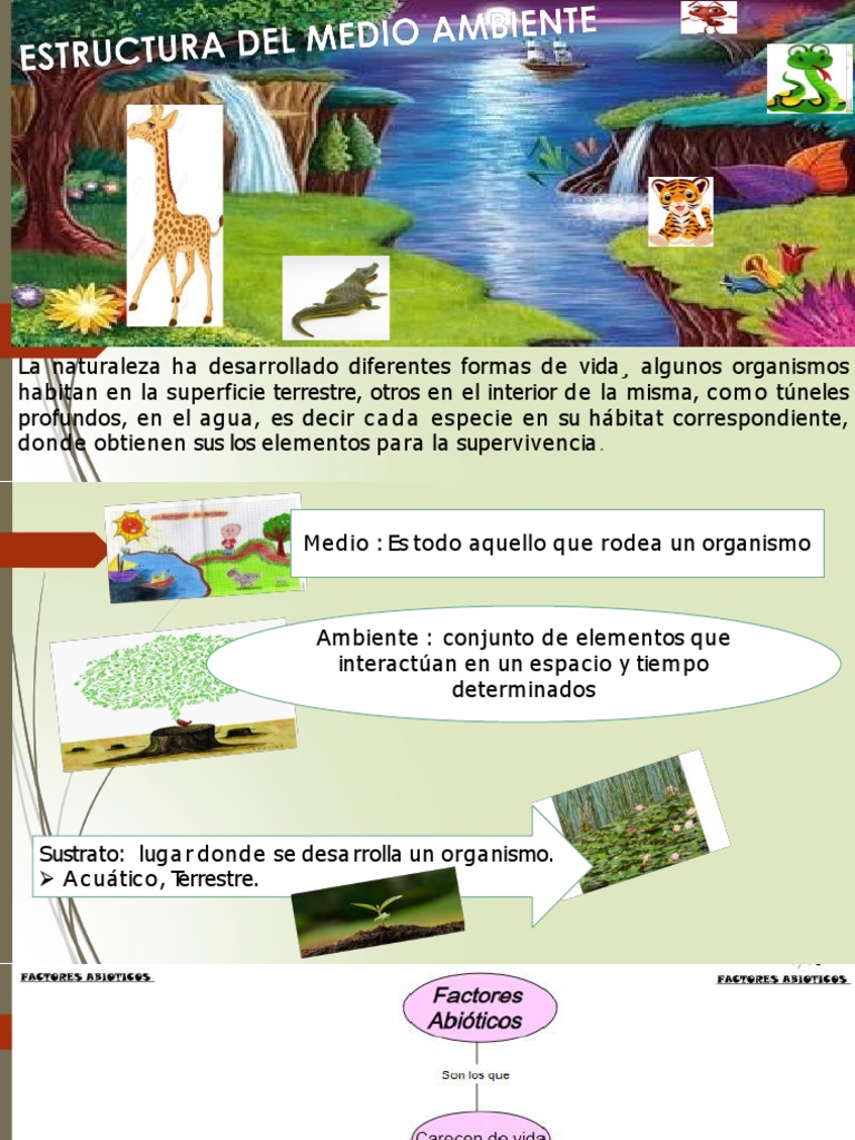 Unidad 2. Estructura Del Medio Ambiente | PDF | Habitat | Organismos