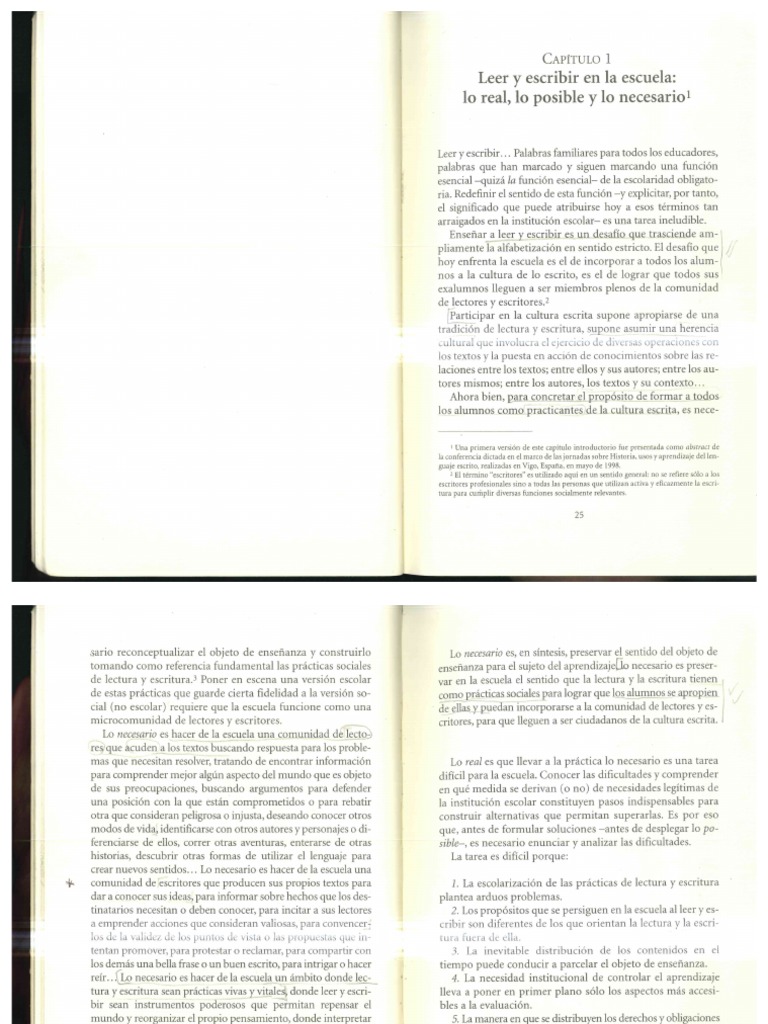 Leer y Escribir en La Escuela - Delia Lerner - Cap 1 | PDF