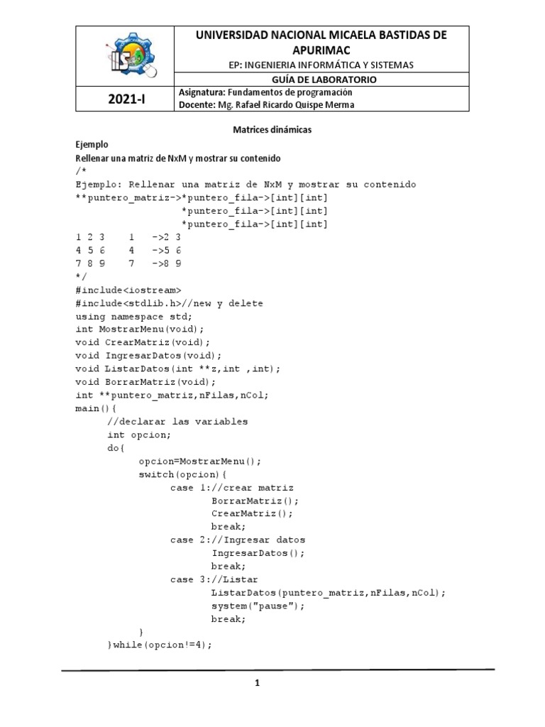 Guía: Matrices Dinámicas en C++ | PDF | Estructura de datos de matriz ...