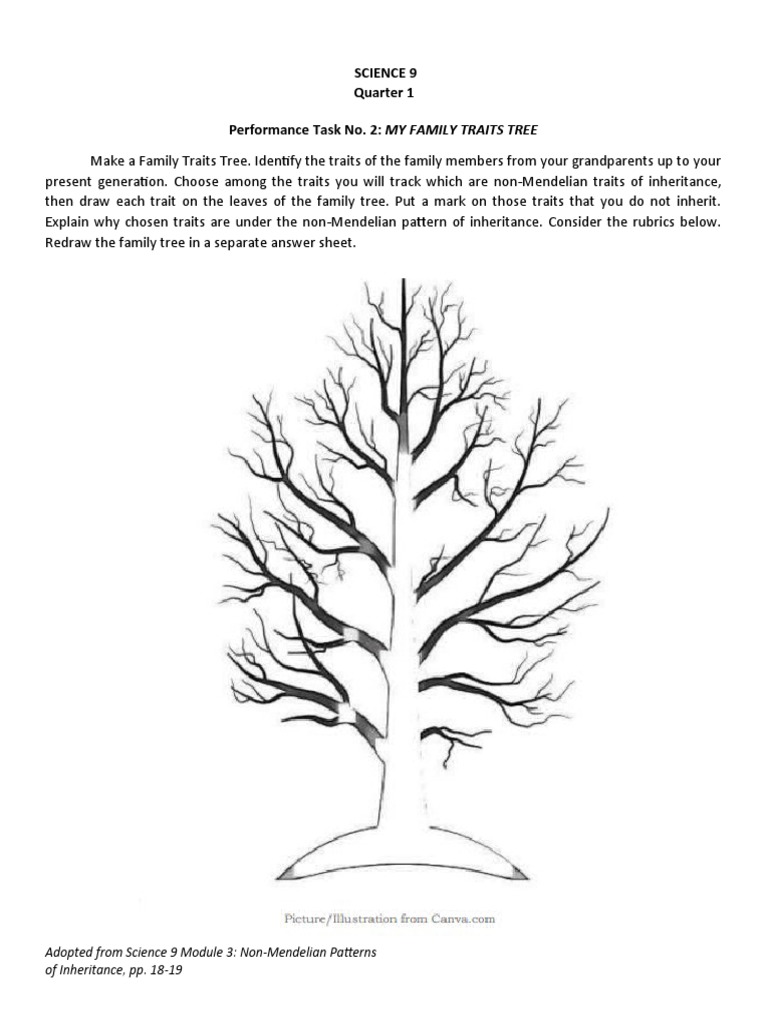 Family Traits Tree Performance Task | PDF | Kinship And Descent | Genetics