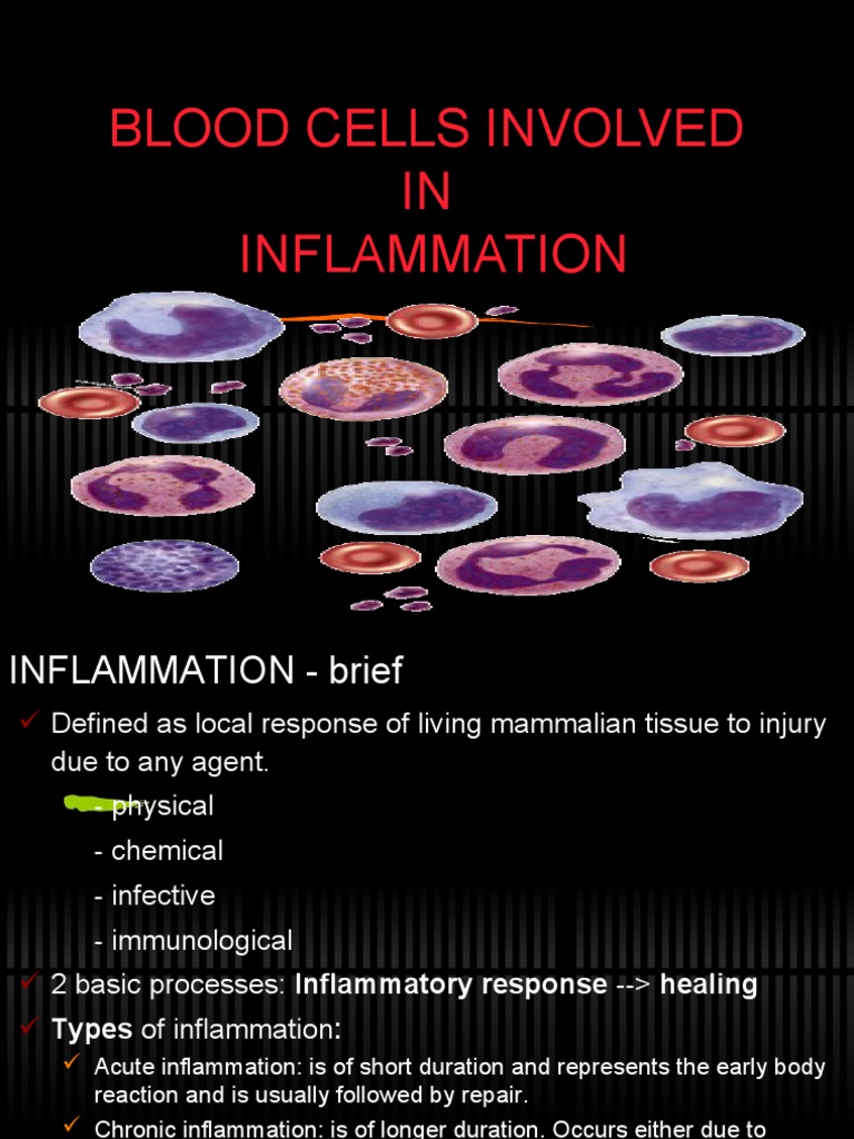 Blood Cells in Inflammation | PDF | Medical Specialties | Inflammation