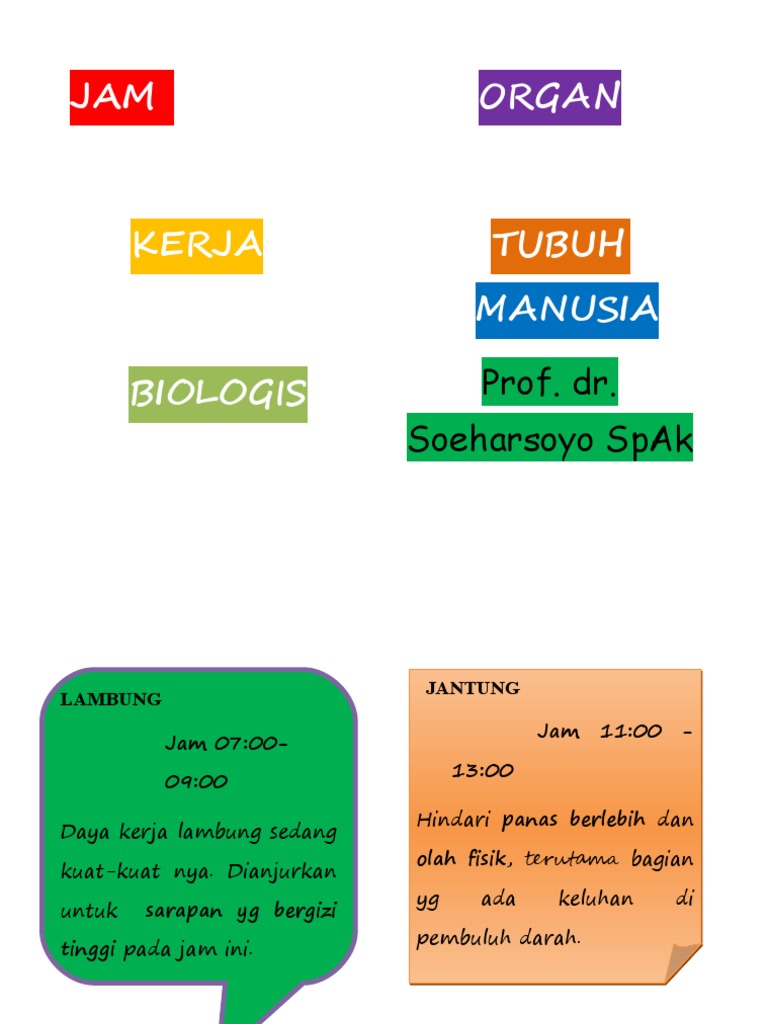 Jam Biologis Organ Tubuh Manusia | PDF