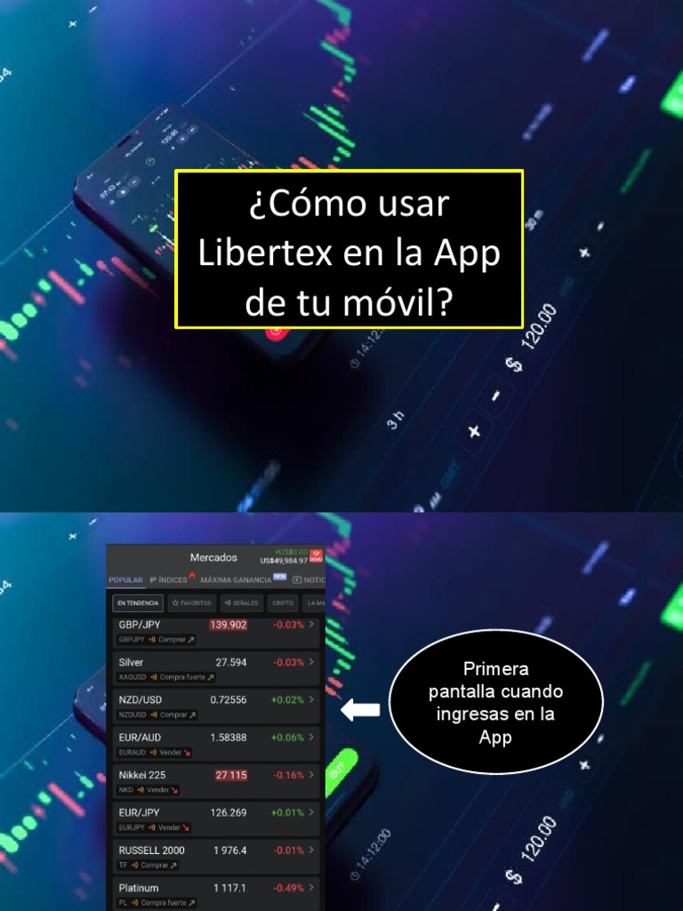 Manual Libertex APP | PDF | Informática
