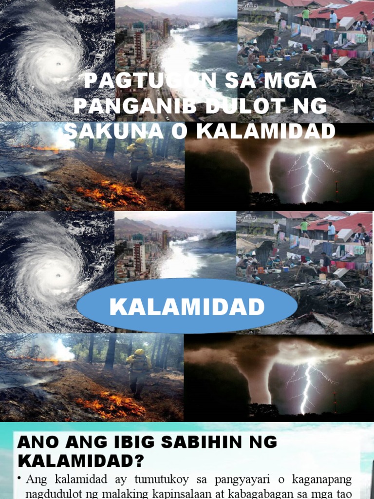 Pagtugon Sa Sakuna | PDF