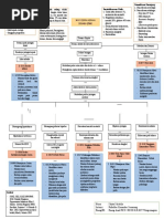 Woc Megacolon | PDF | Pengembangan Diri | Kesehatan Holistik