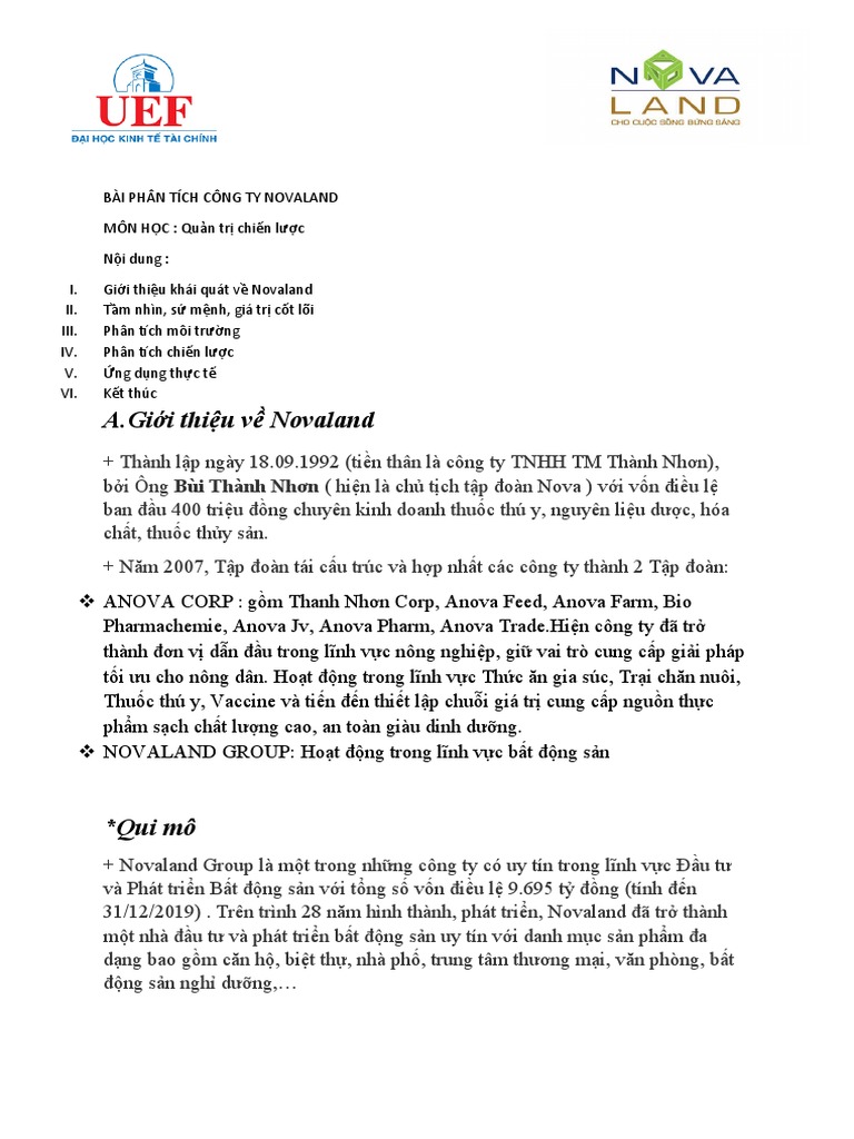 Bai Phan Tich Cong Ty Novaland | PDF