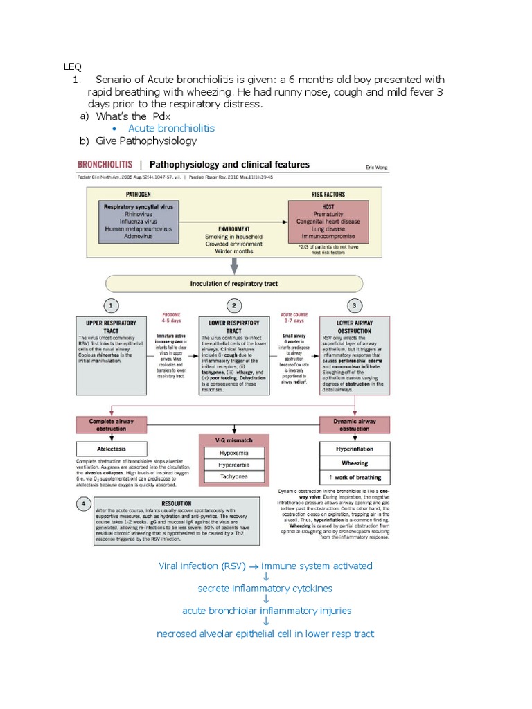 LEQ Paeds | PDF | Epidemiology | Respiratory System