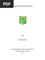 Indikator Nasional Mutu (Inm) Dan Ikp | PDF