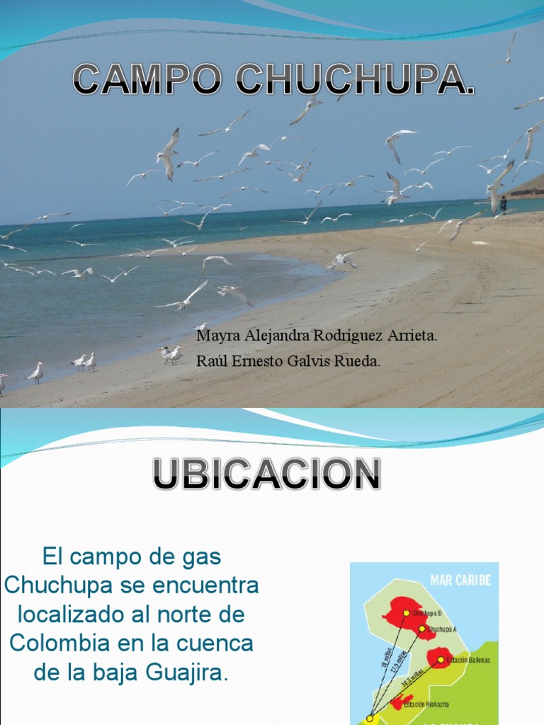 Campo Chuchupa Presentacion | PDF | Negocios | Tecnología