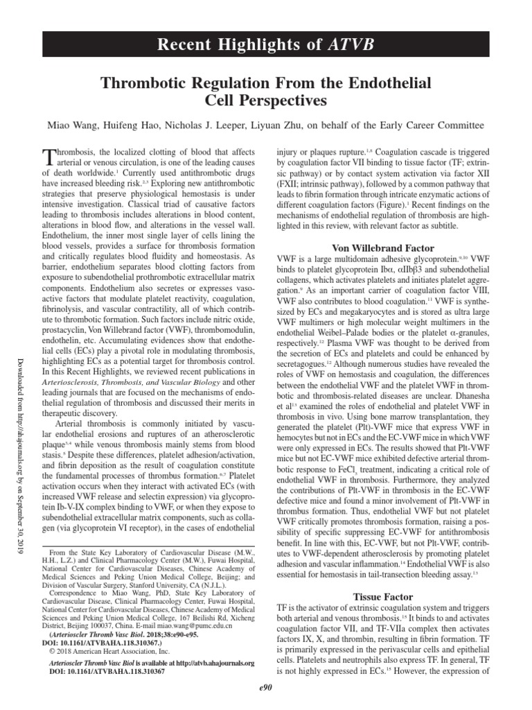 Endothelium in Thrombosis Journal | PDF | Coagulation | Platelet