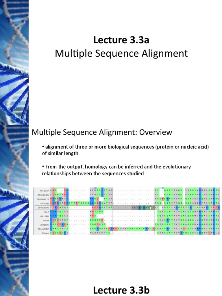 Lecture 3.3 (Multiple Sequence Alignment and Phylogeny) (SEAS) | PDF