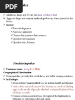 Trematode Flukes: Types and Characteristics | PDF | Zoology | Parasitology