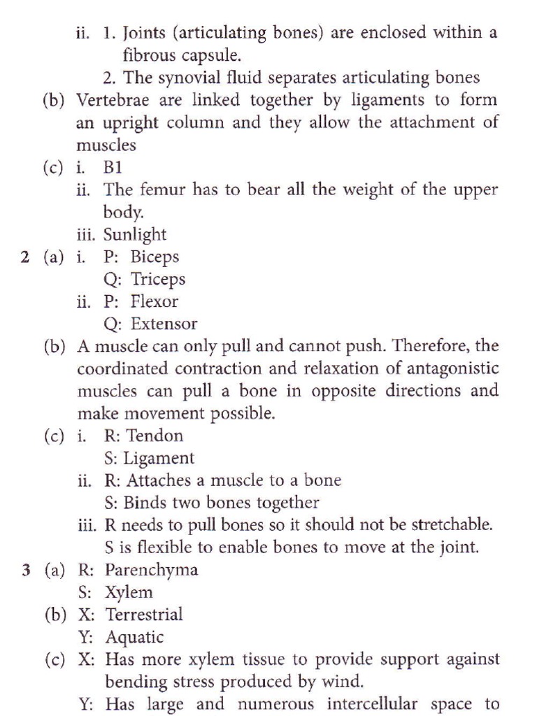 Jawapan Bio Form 5 Chapter 2 Structure | Download Free PDF | Tissue ...
