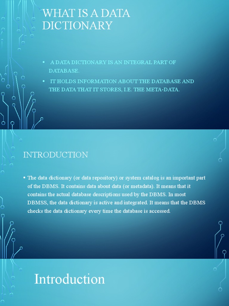 What Is A Data Dictionary | PDF | Databases | Metadata