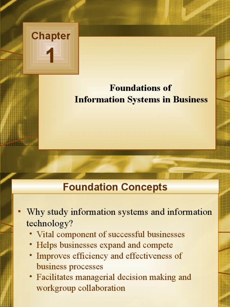 Foundations of Information Systems in Business | PDF | Information ...