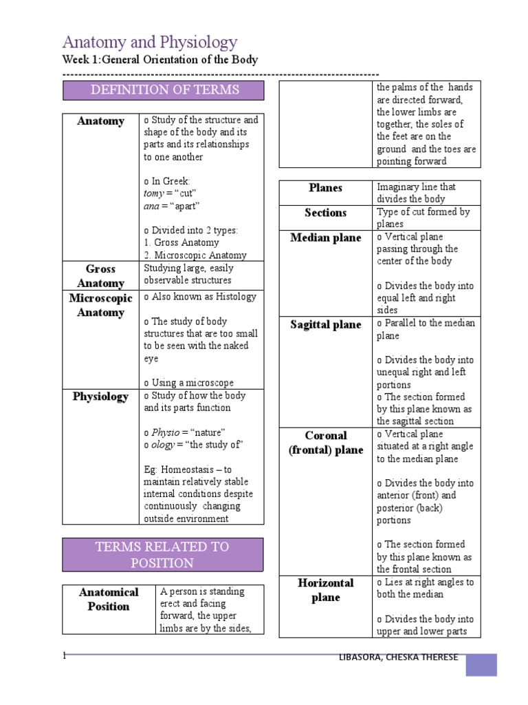 Anatomy and Physiology: Definition of Terms | PDF | Anatomical Terms Of ...
