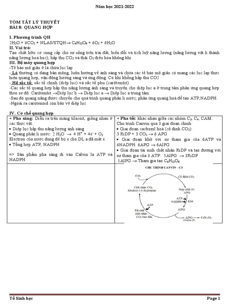 Bài 8 Quang Hop | PDF