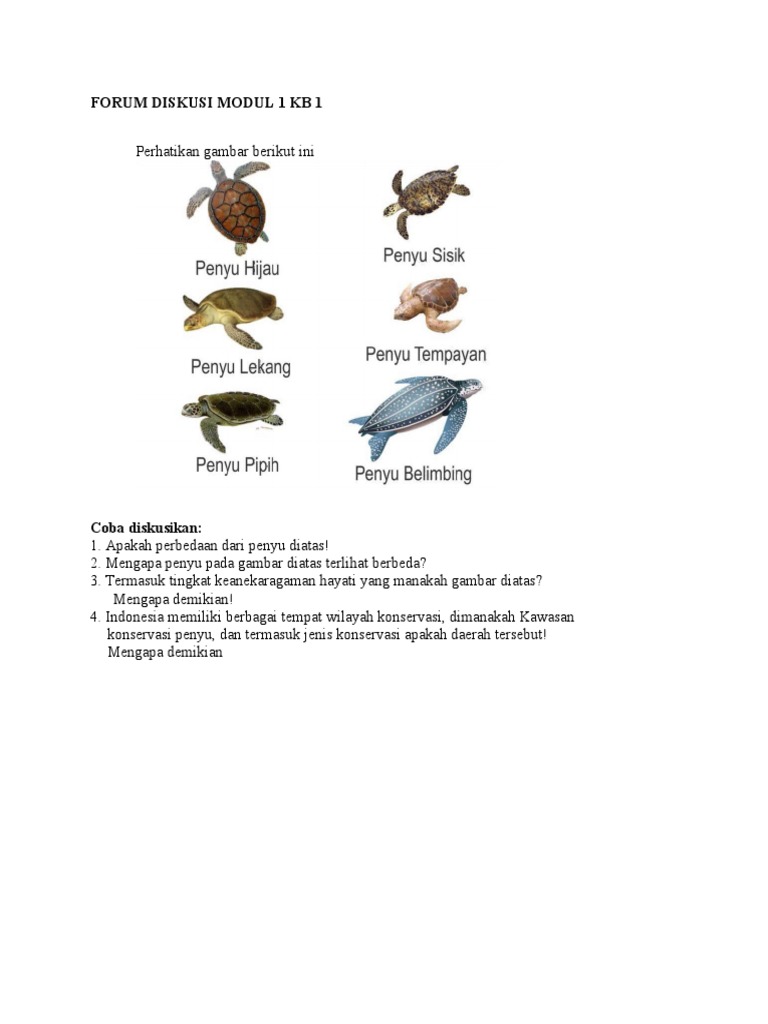 FD Modul 1 KB 1 | PDF